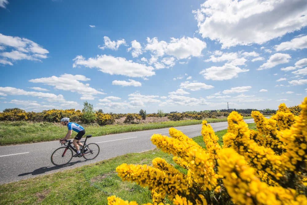 Summer Cycling